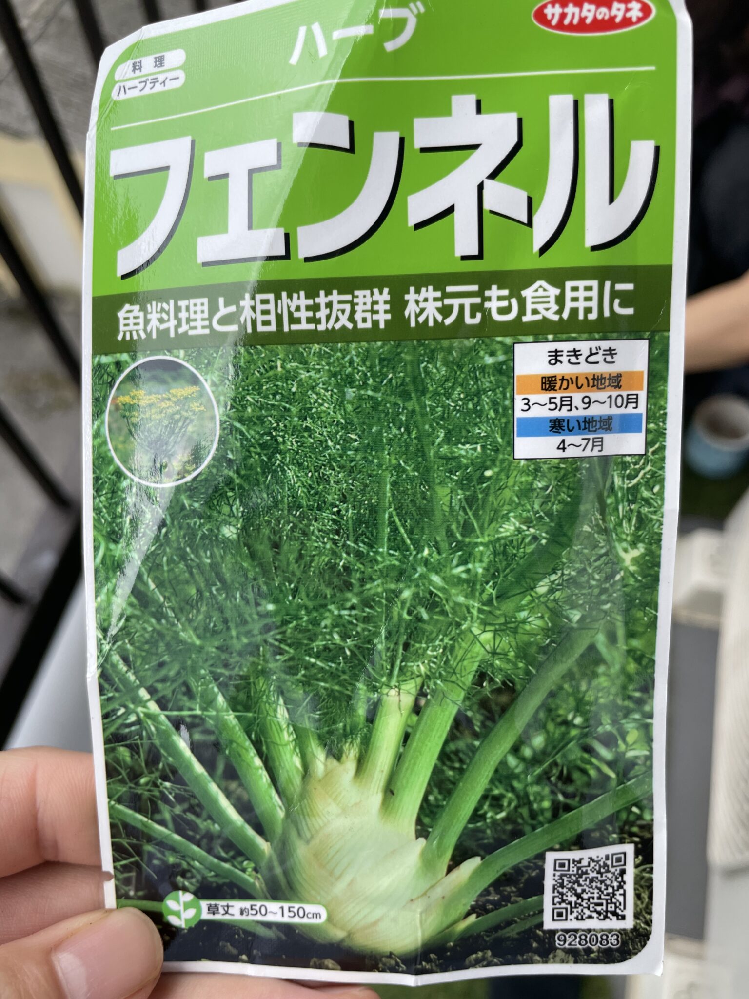 フェンネルの育て方解説｜プランターでの植え付け方法、簡単3ステップ | Grow Eat Repeat