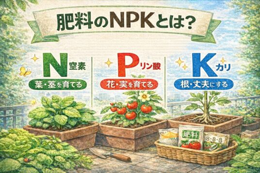 肥料のNPKとは？窒素・リン酸・カリの役割を初心者にもわかりやすく解説 | Grow Eat Repeat